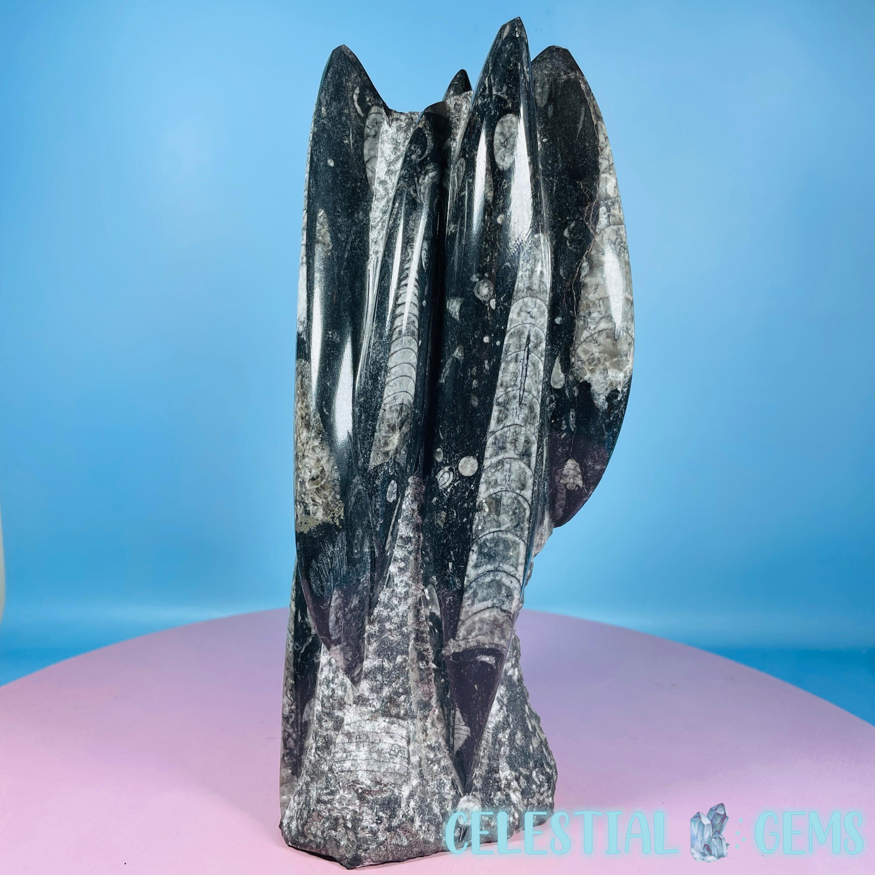 Orthoceras Fossil Shell Large Standing Sculpture – Celestial Gems NZ
