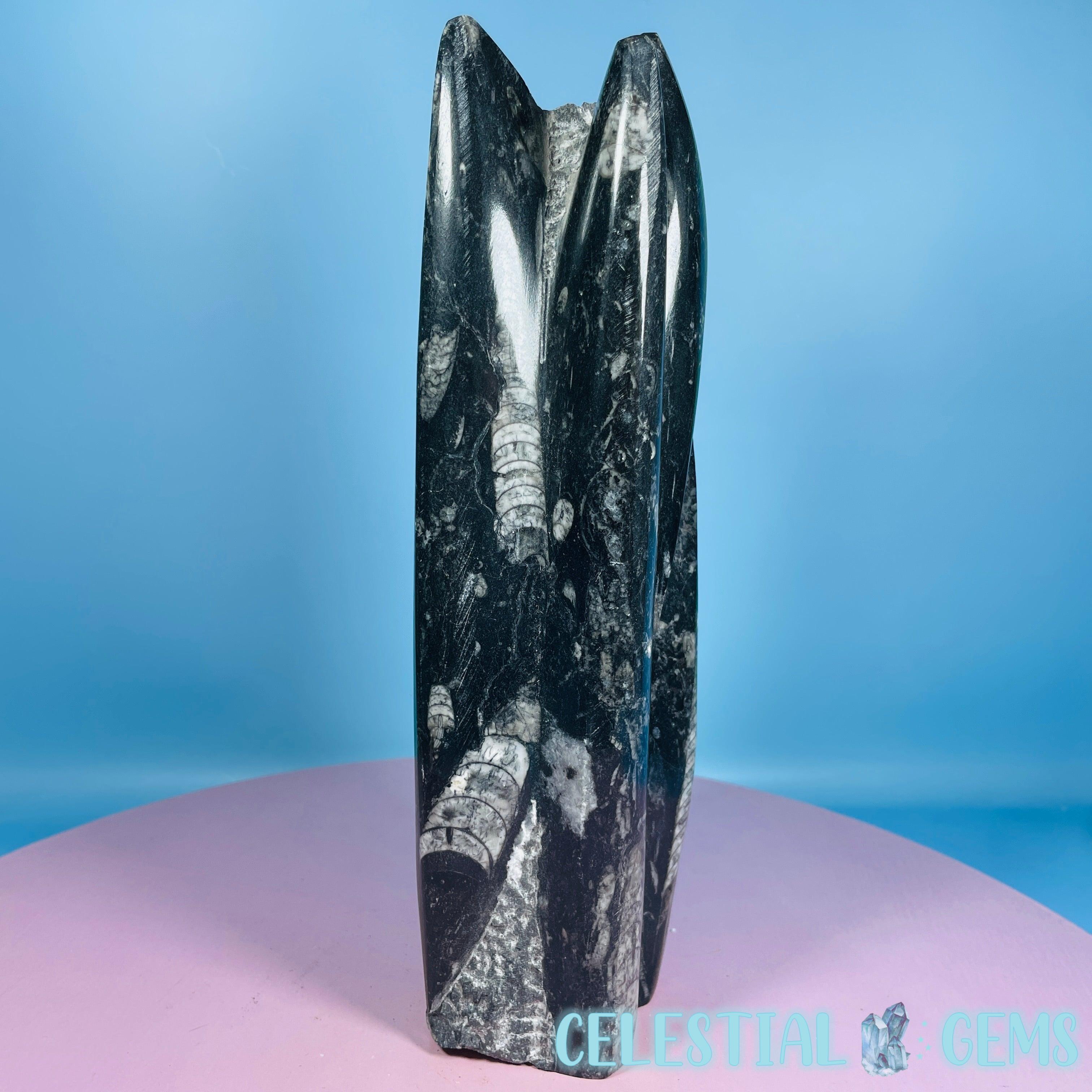 Orthoceras Fossil Shell Large Standing Sculpture – Celestial Gems NZ