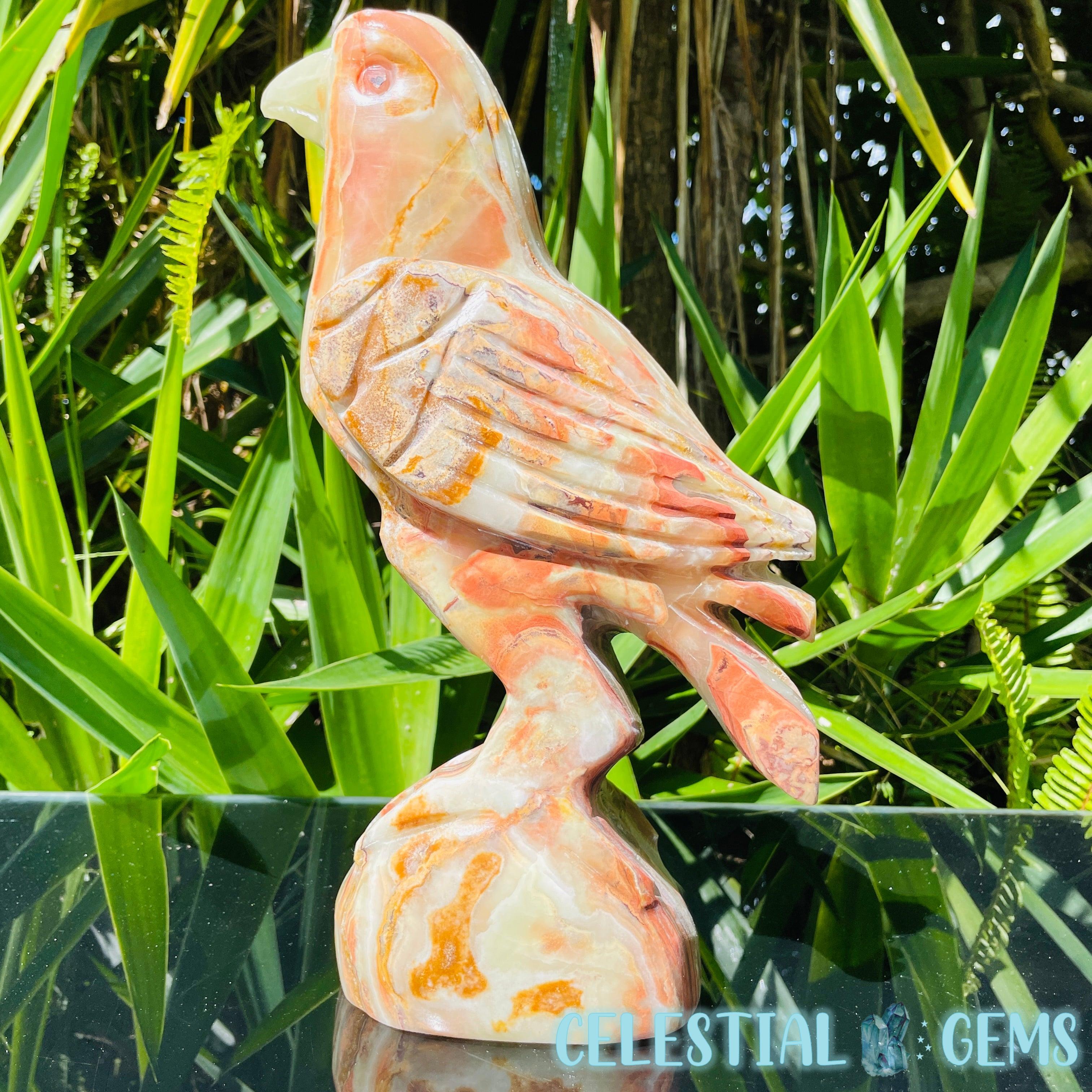 Banded Onyx Calcite Bird XL Carving – Celestial Gems NZ